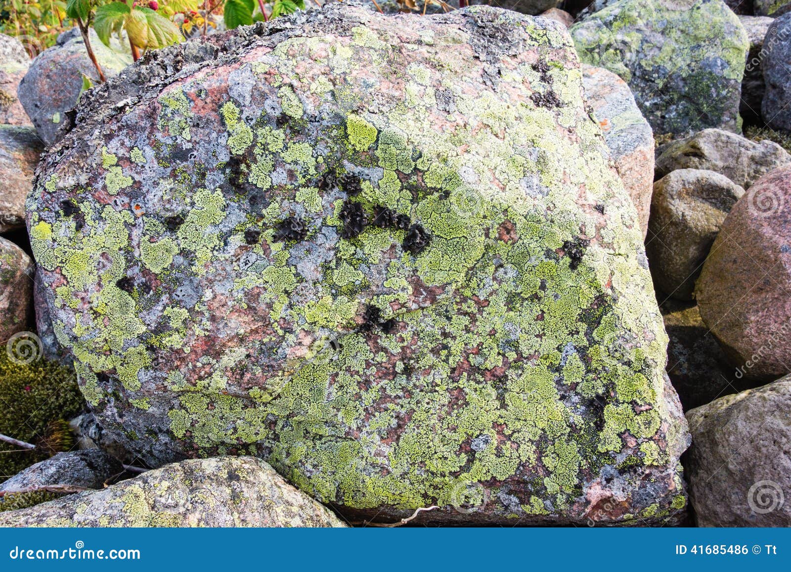 Rocks with lichens stock photo. Image of detail, colorful - 41685486