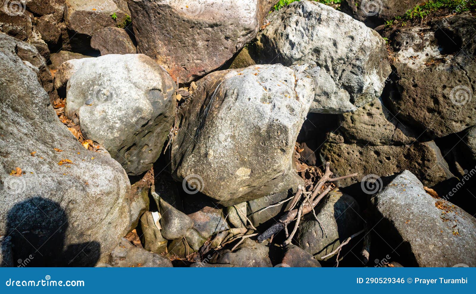 Rocks that line the beach stock photo. Image of nature - 290529346