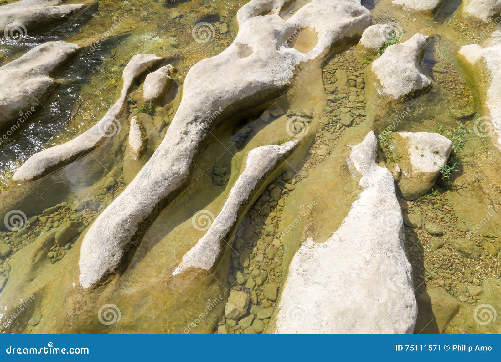 Rocks that almost Looks Like Bones Stock Image - Image of country, lone ...