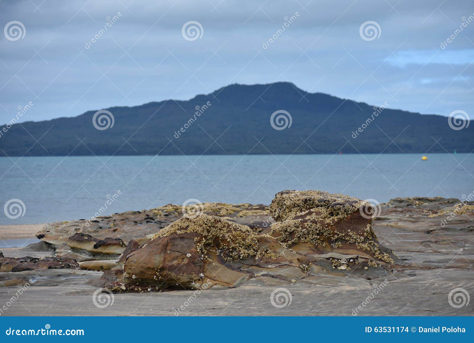 Rocks at low tide stock photo. Image of shore, takapuna - 63531174