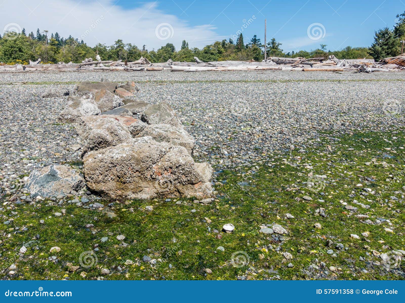 Rocks at Low Tide stock photo. Image of state, tide, nature - 57591358