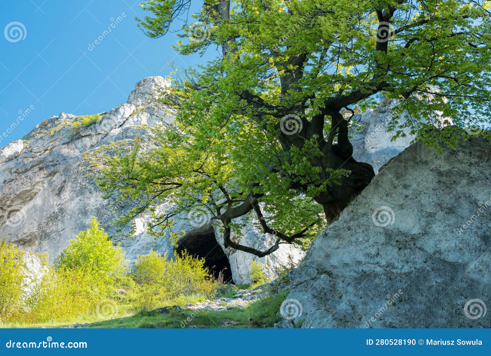 Rocks with a Massive Tree among the Rocks Stock Photo - Image of plant ...