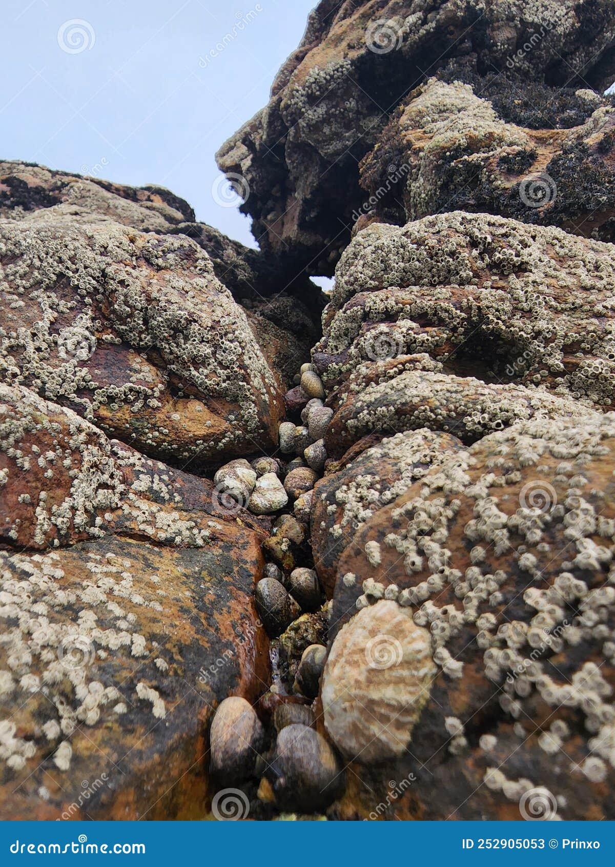 Rocks by the Mediterranean Sea in Morocco Stock Image - Image of ...