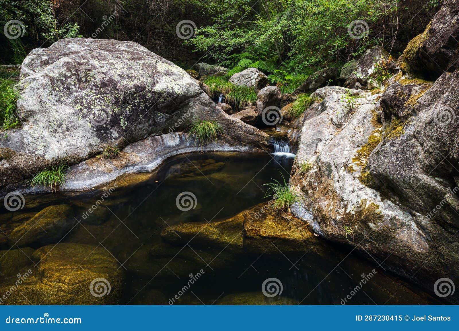Rocks in the Middle of River Stream Agualva Stock Image - Image of ...