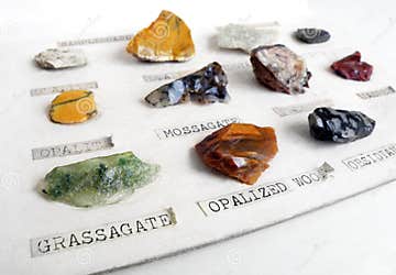 Rocks Minerals Collection Hobby Stock Image - Image of copyspace, earth ...
