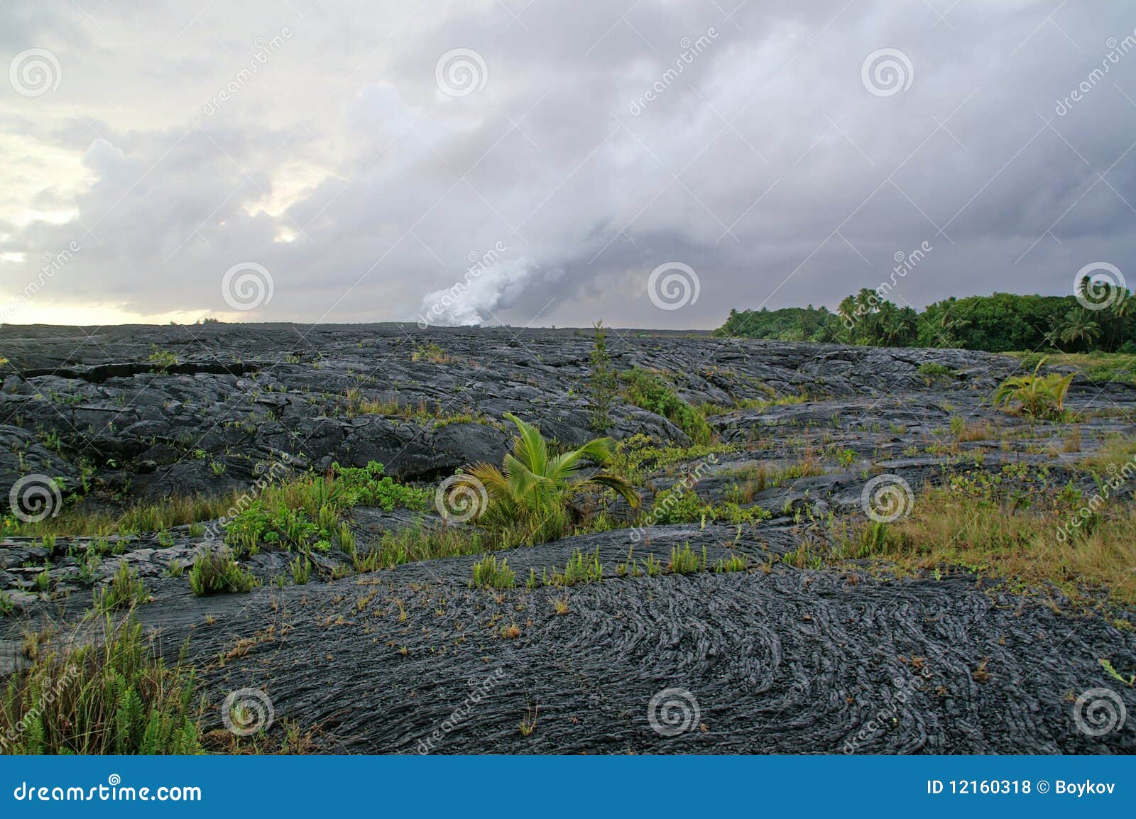 Rocks from molten lava stock photo. Image of shore, tropical - 12160318