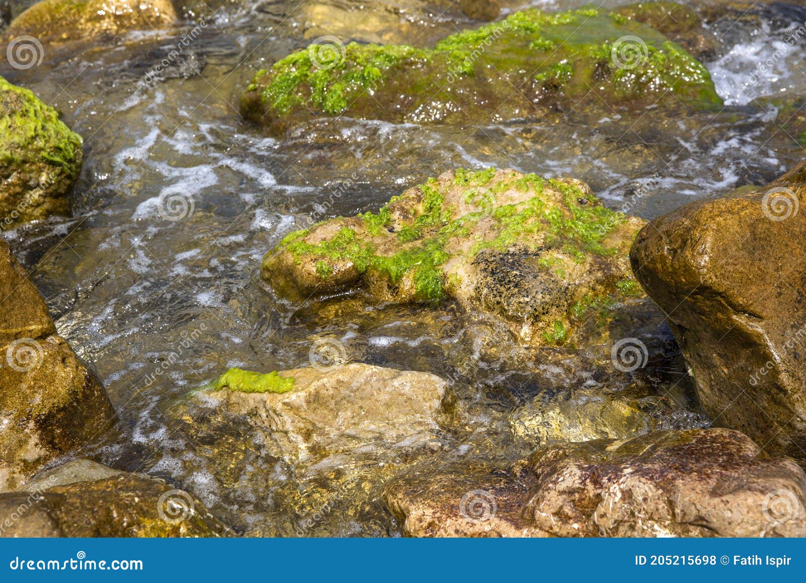 Rocks, Mossy Stones and Sparkling Sea Water in the Sea Stock Photo ...