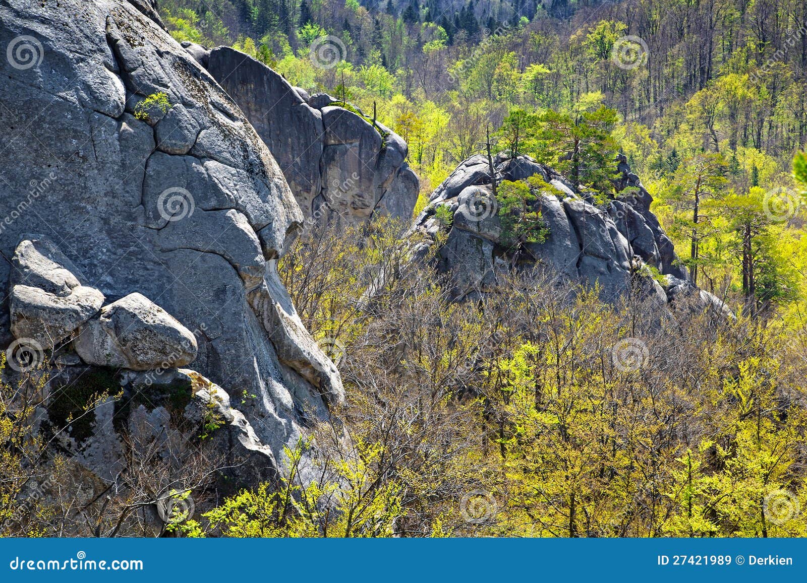 Rocks in a mountain forest stock image. Image of spring - 27421989