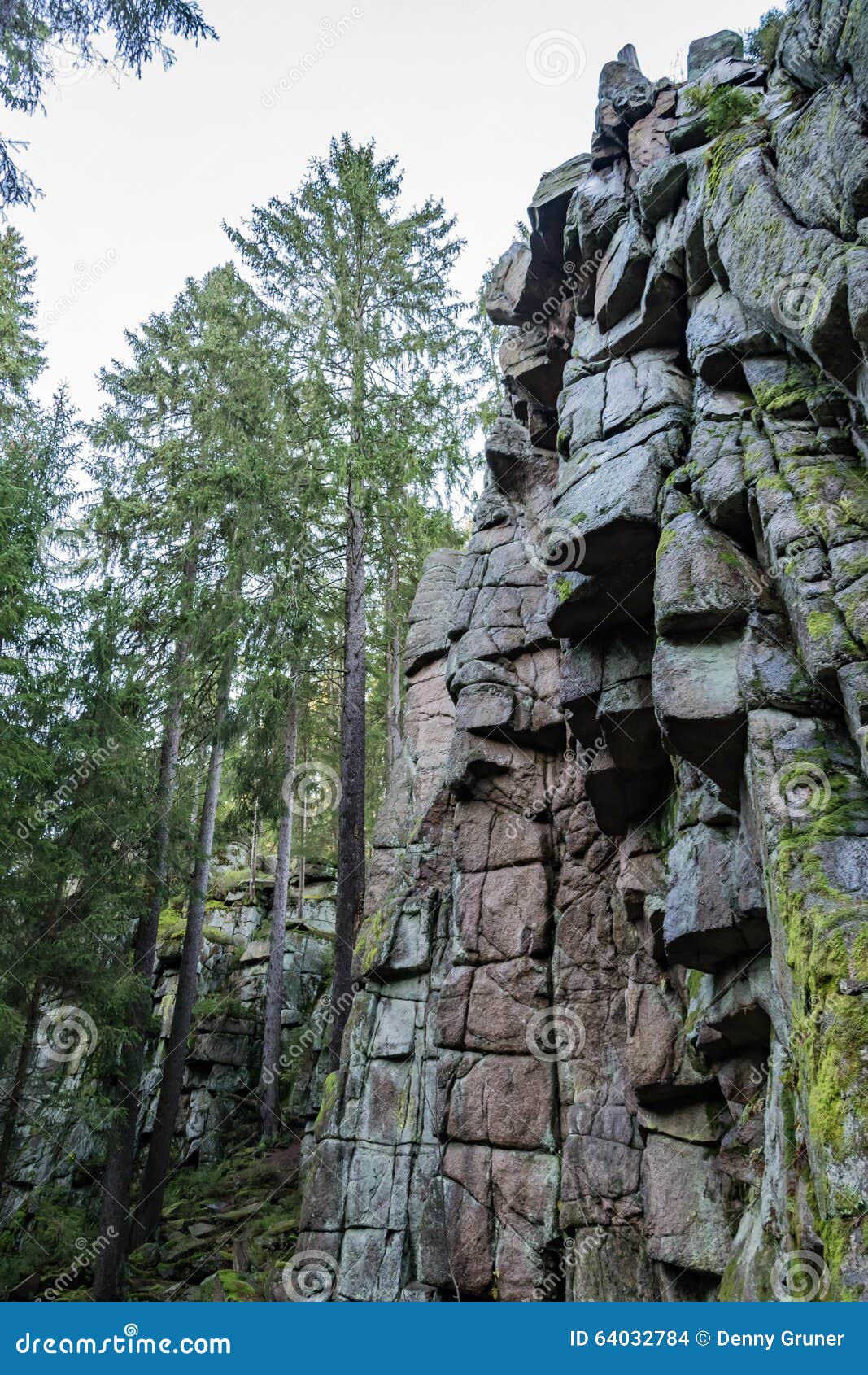 Rocks in nature stock photo. Image of natural, tree, green - 64032784