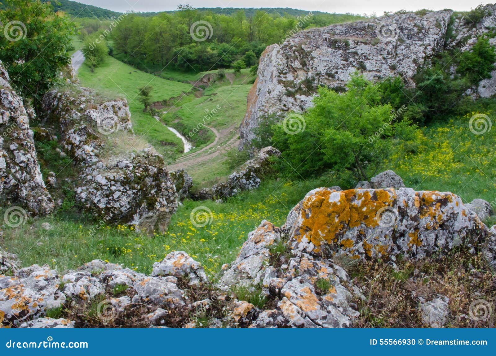 Rocks and nature stock photo. Image of trees, spring - 55566930
