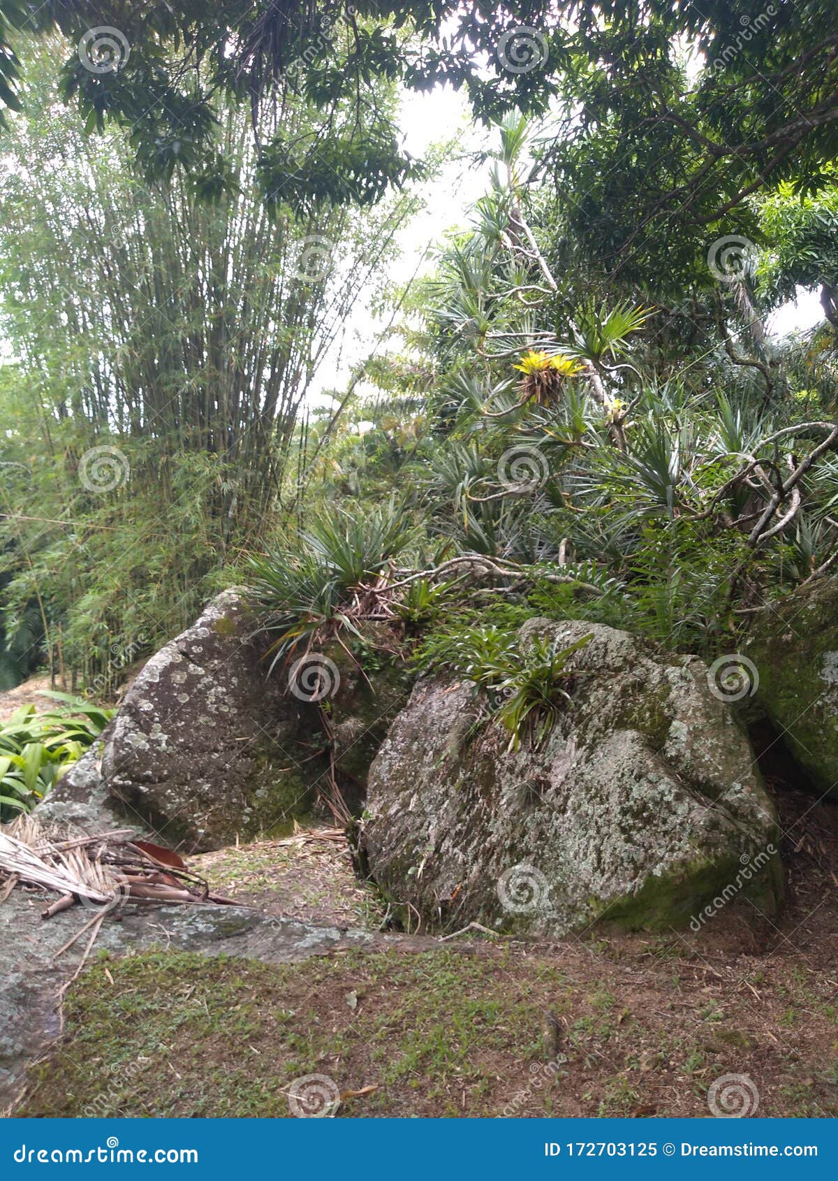 Rocks Rocks Nature Trail Camping Island Stock Image - Image of camping ...
