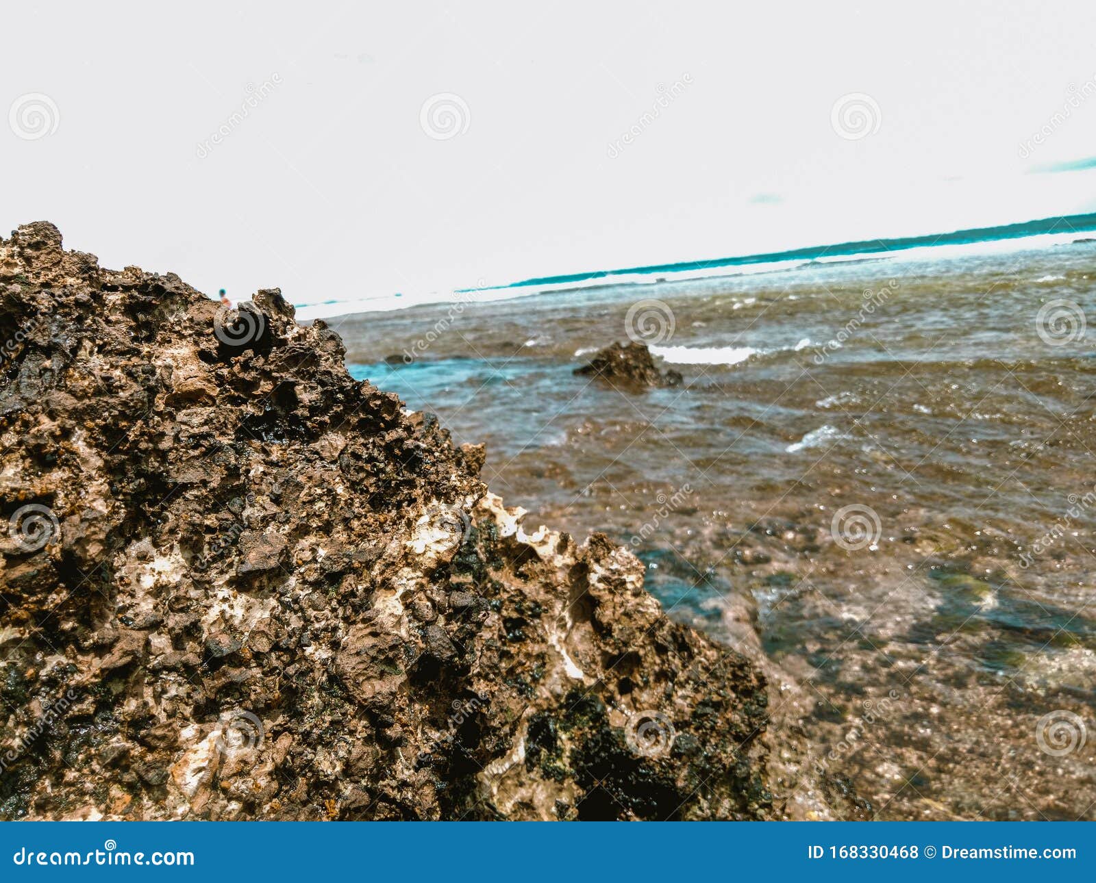 Rocks in the ocean stock photo. Image of nature, ocean - 168330468