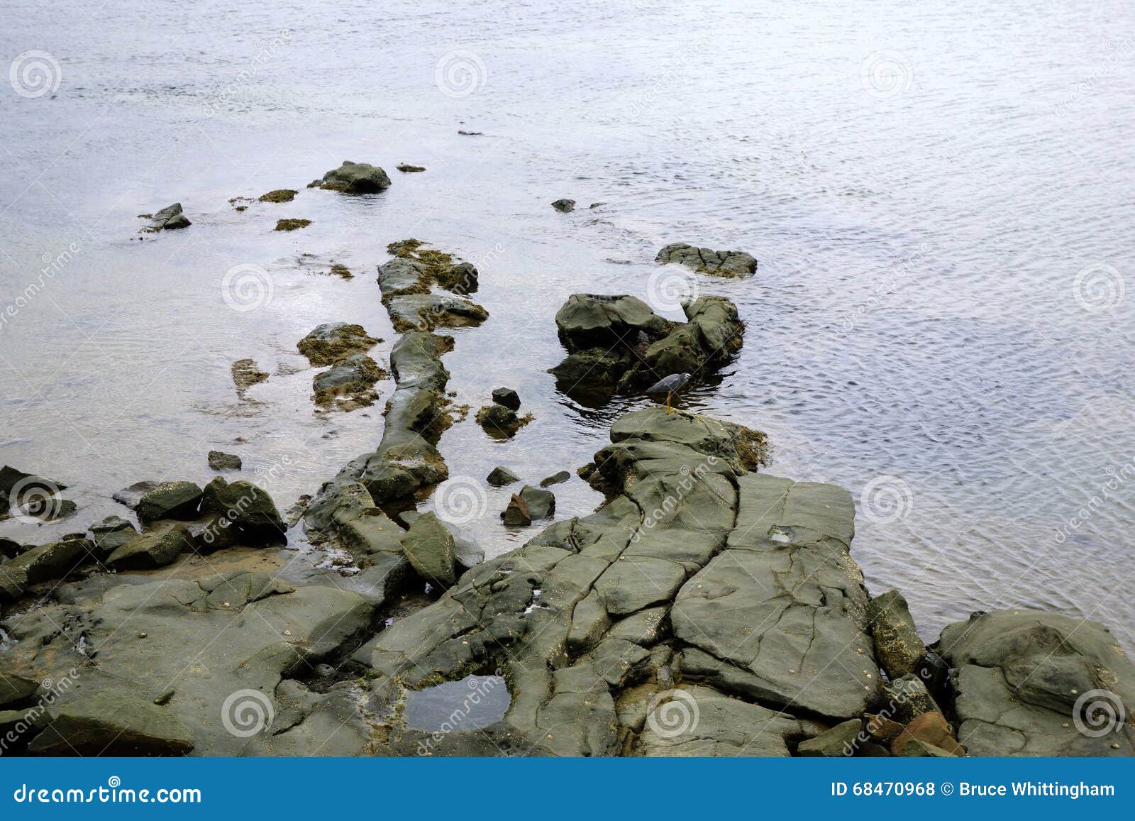 Rocks on Ocean Shore stock photo. Image of quiet, peaceful - 68470968