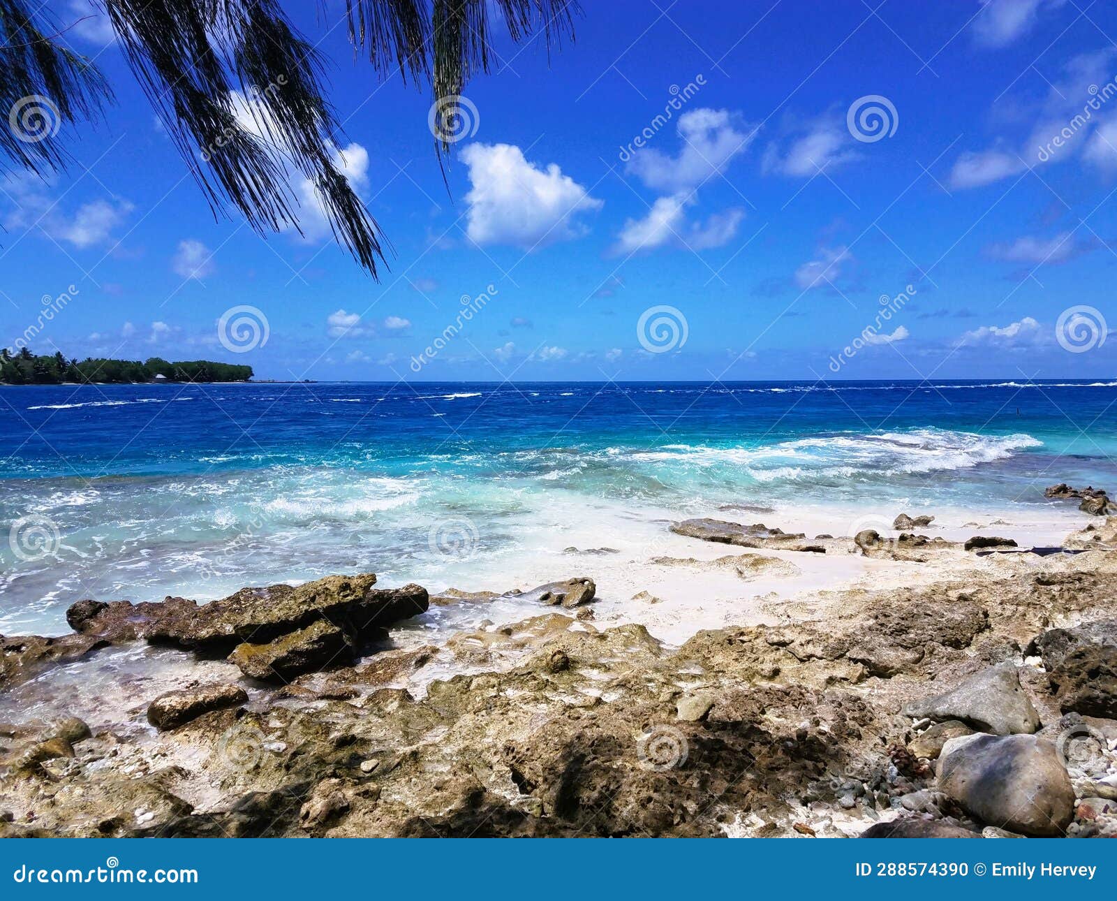 On the Rocks by the the Ocean Shore in French Polynesia Stock Photo ...