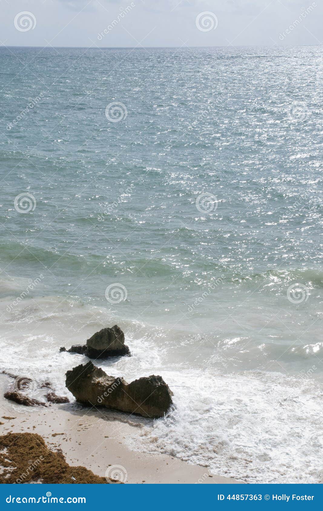 Rocks on the Ocean Shore stock image. Image of waves - 44857363
