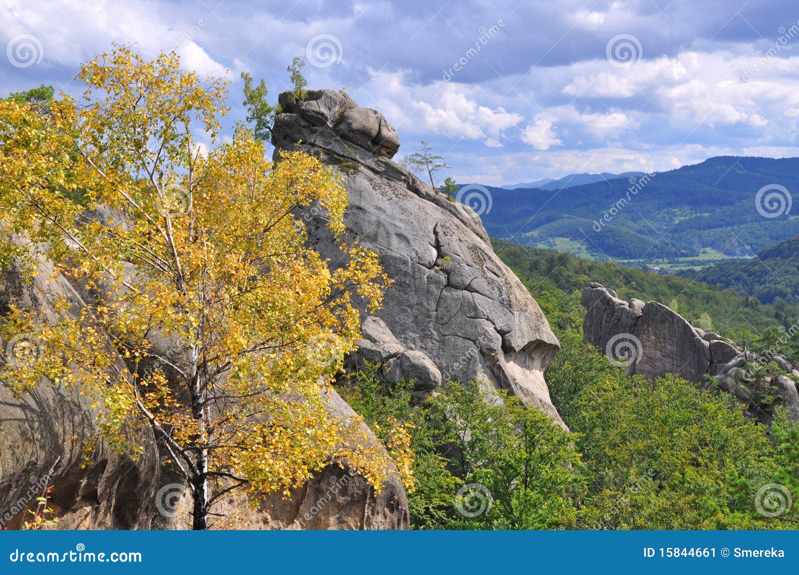 Rocks over wood. stock image. Image of birch, tree, nature - 15844661
