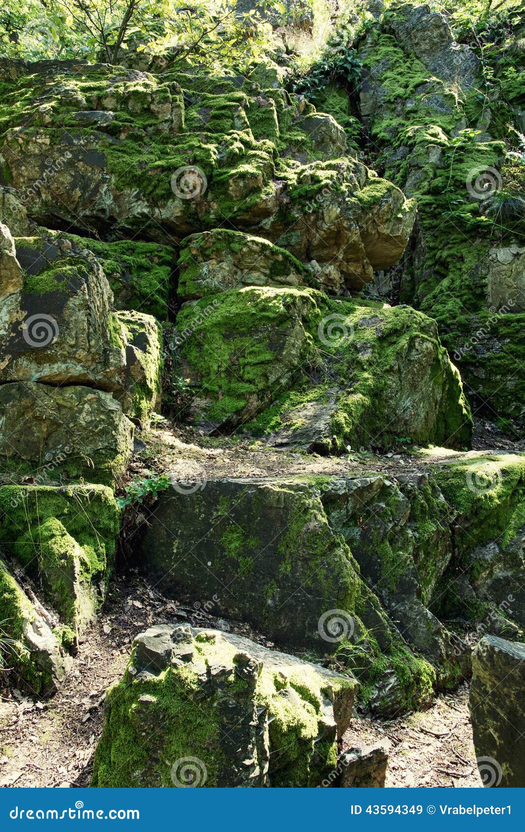 Rocks overgrown with moss stock image. Image of mineral - 43594349