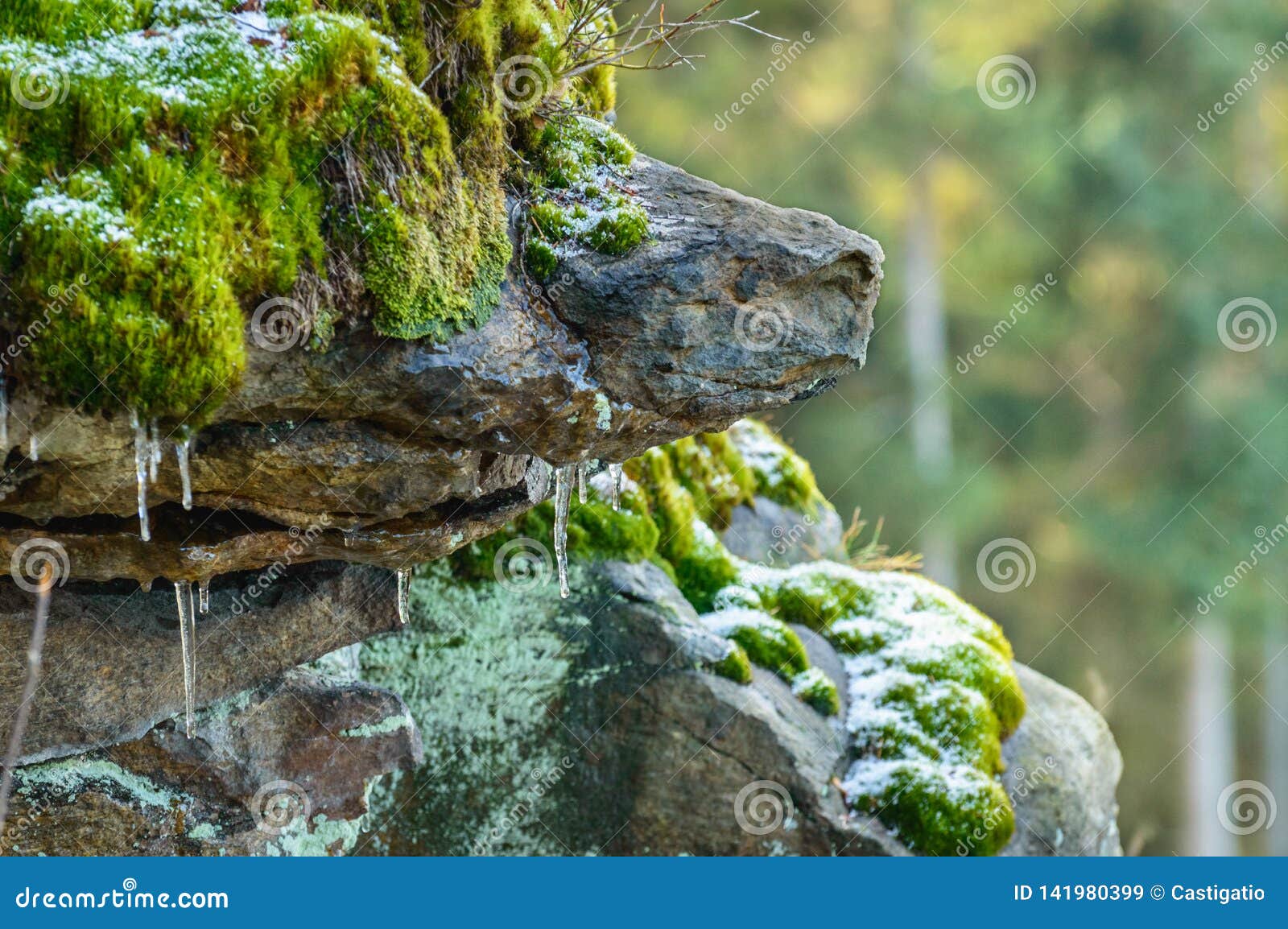 Rocks Overgrown with Moss, a Harsh Climate in Winter Stock Image ...