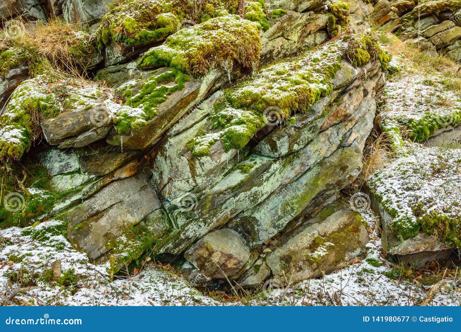Rocks Overgrown With Ivy And Moss With Flowing Little Waterfall Royalty ...