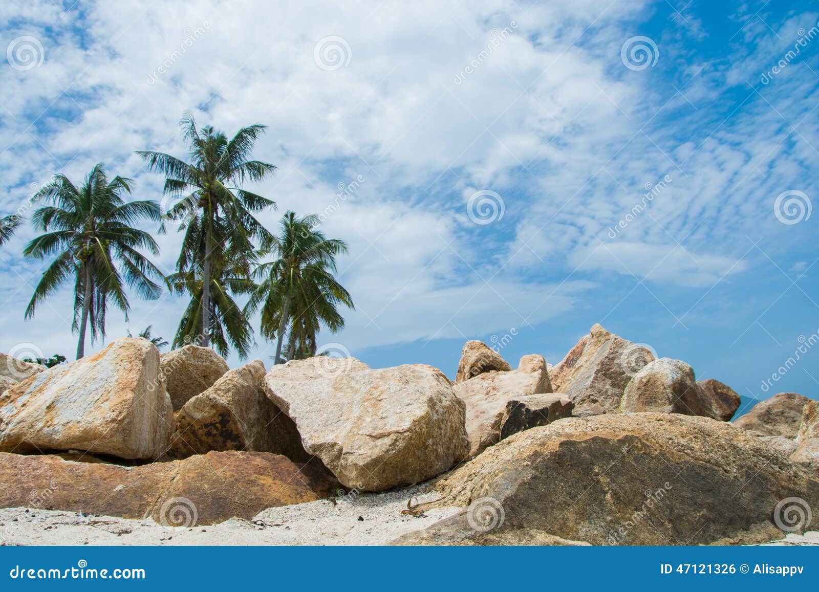 Rocks with palms stock photo. Image of coconut, palms - 47121326