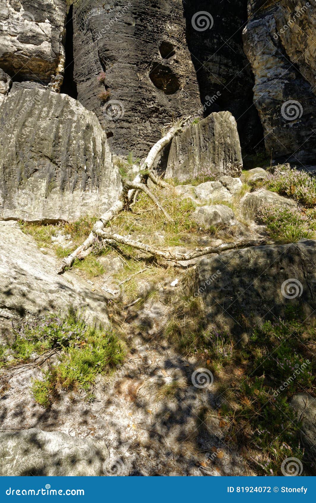 Rocks with Patches of Greenery and Moss on Them Stock Photo - Image of ...
