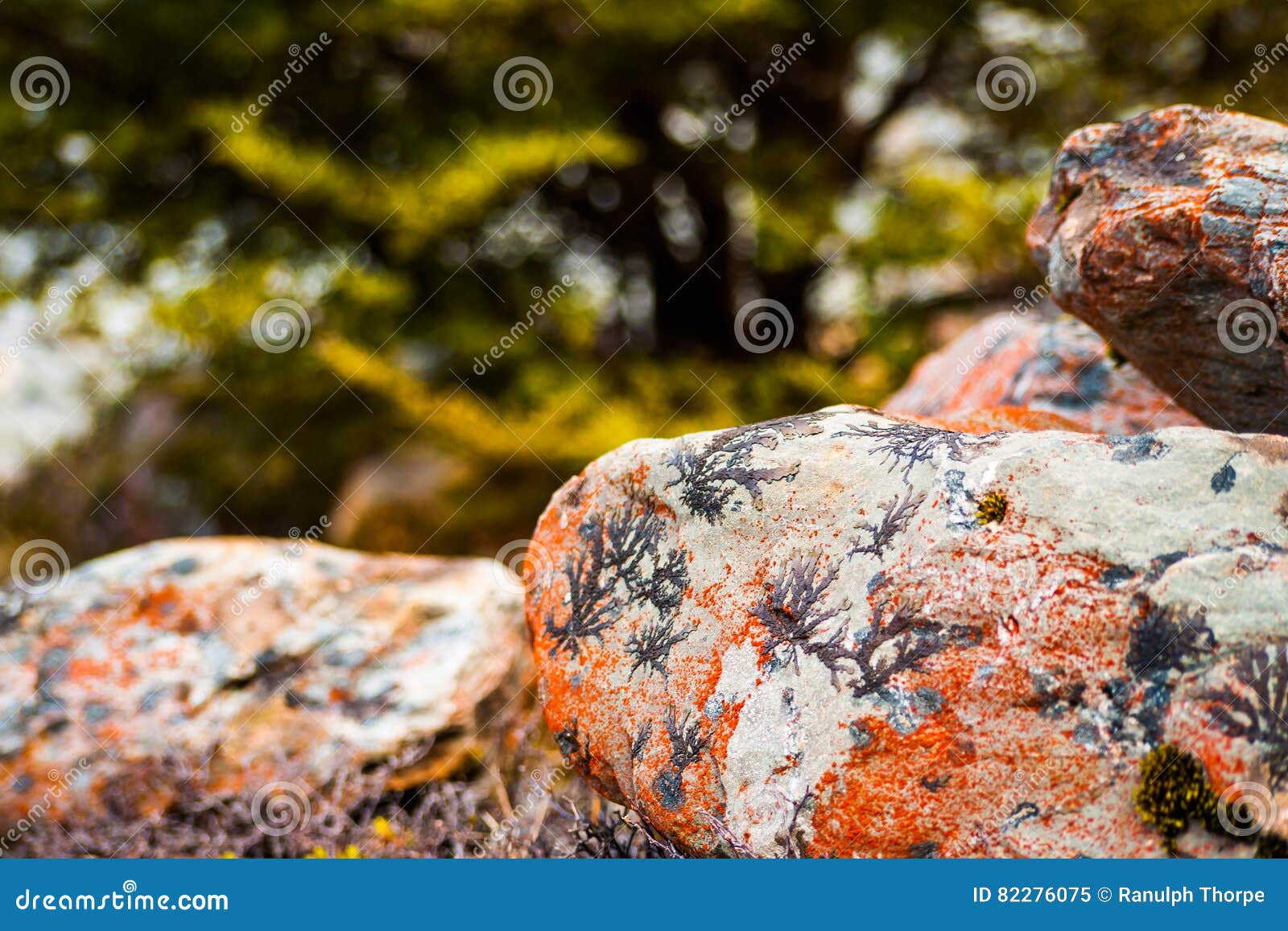 Rocks with Patterns on Them Stock Image - Image of orange, patterns ...