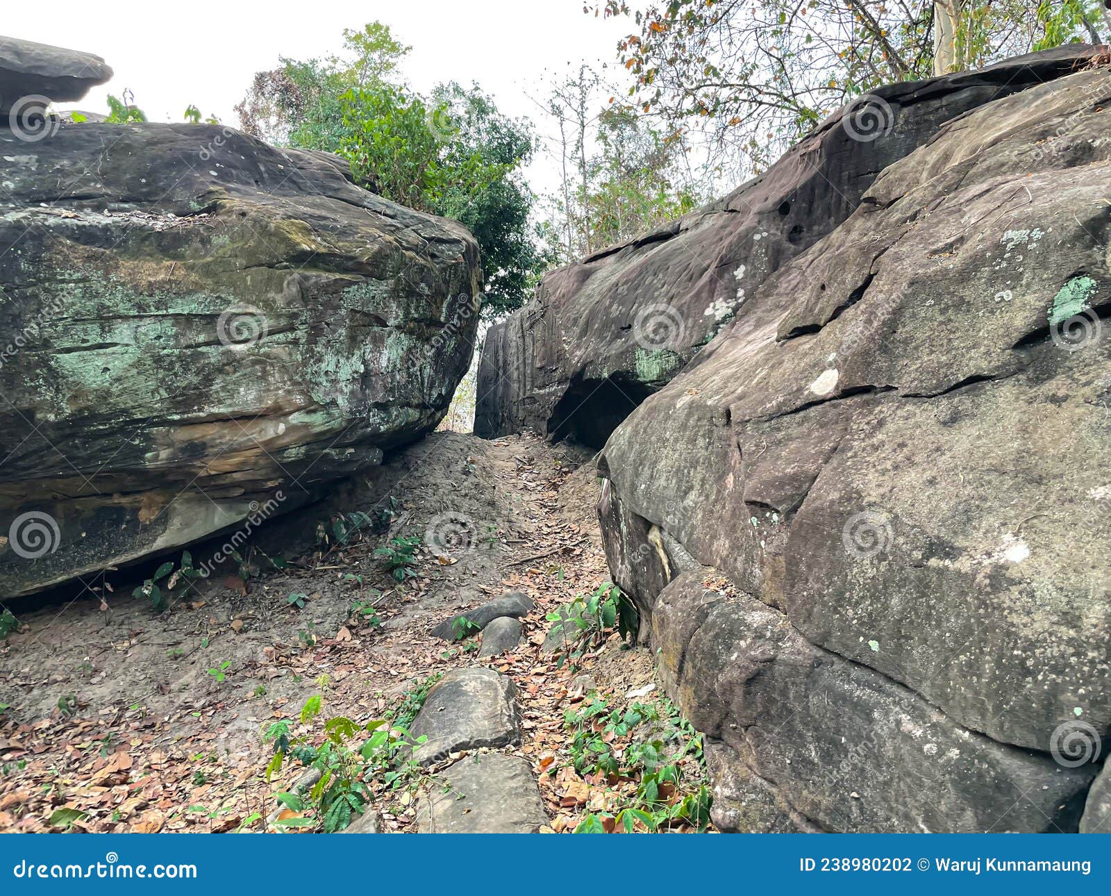 The Rocks in the Peaceful Forest. Stock Photo - Image of adventure ...