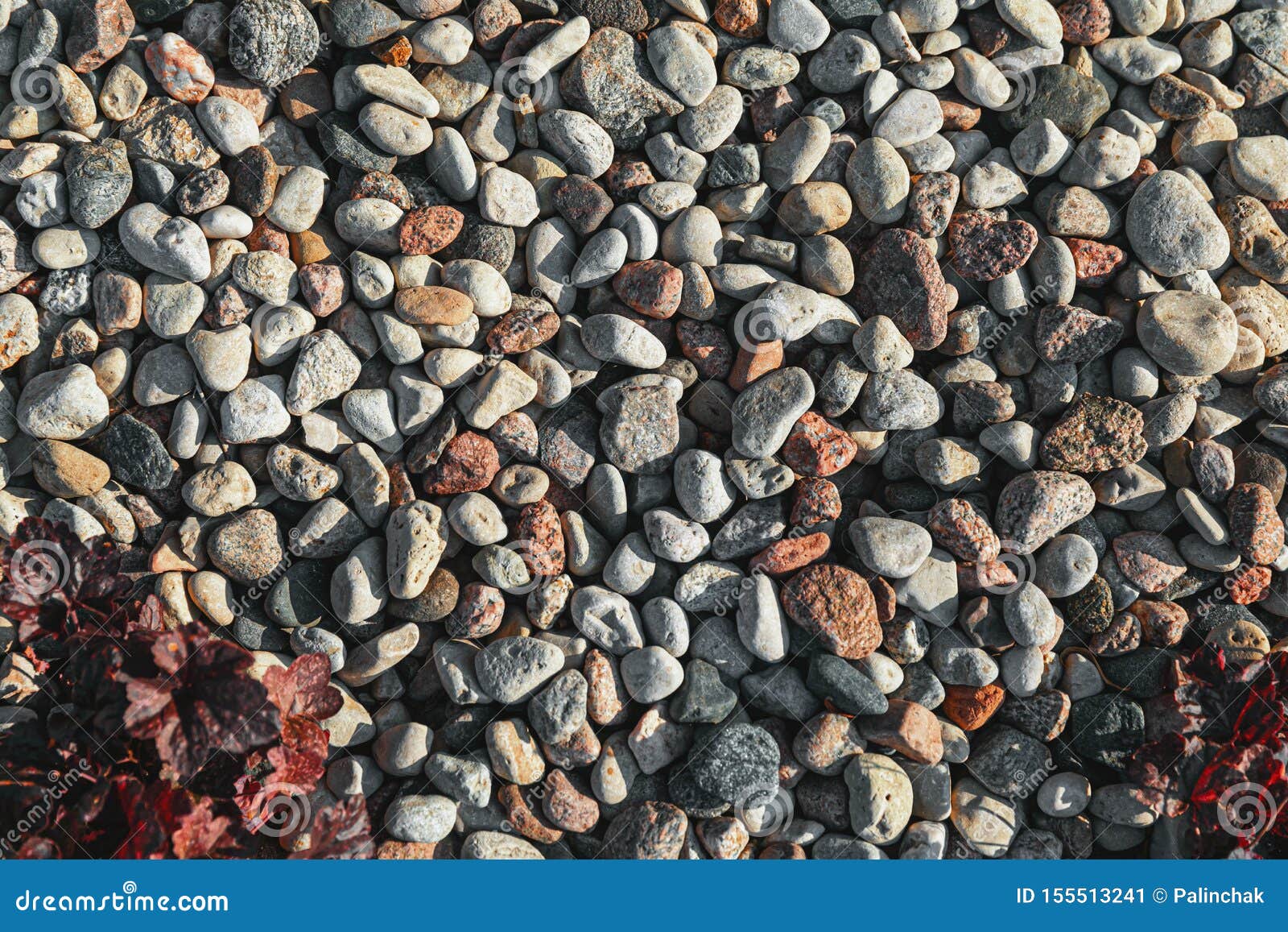Rocks and Pebbles on a Beach Stock Image - Image of closeup, outdoor ...