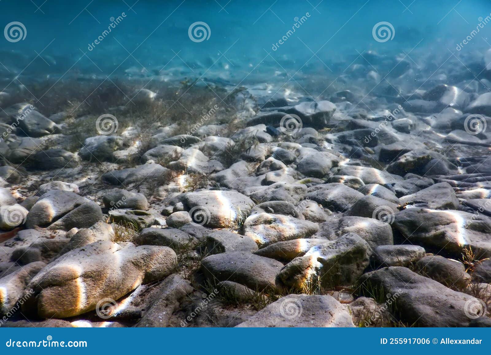 Rocks and Pebbles, Pebbles Below Water Stock Photo - Image of riverbed, sunlight: 255917006