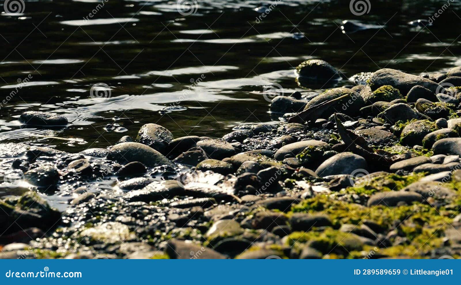 Rocks and Pebbles by River Side Water Stock Video - Video of peaceful ...