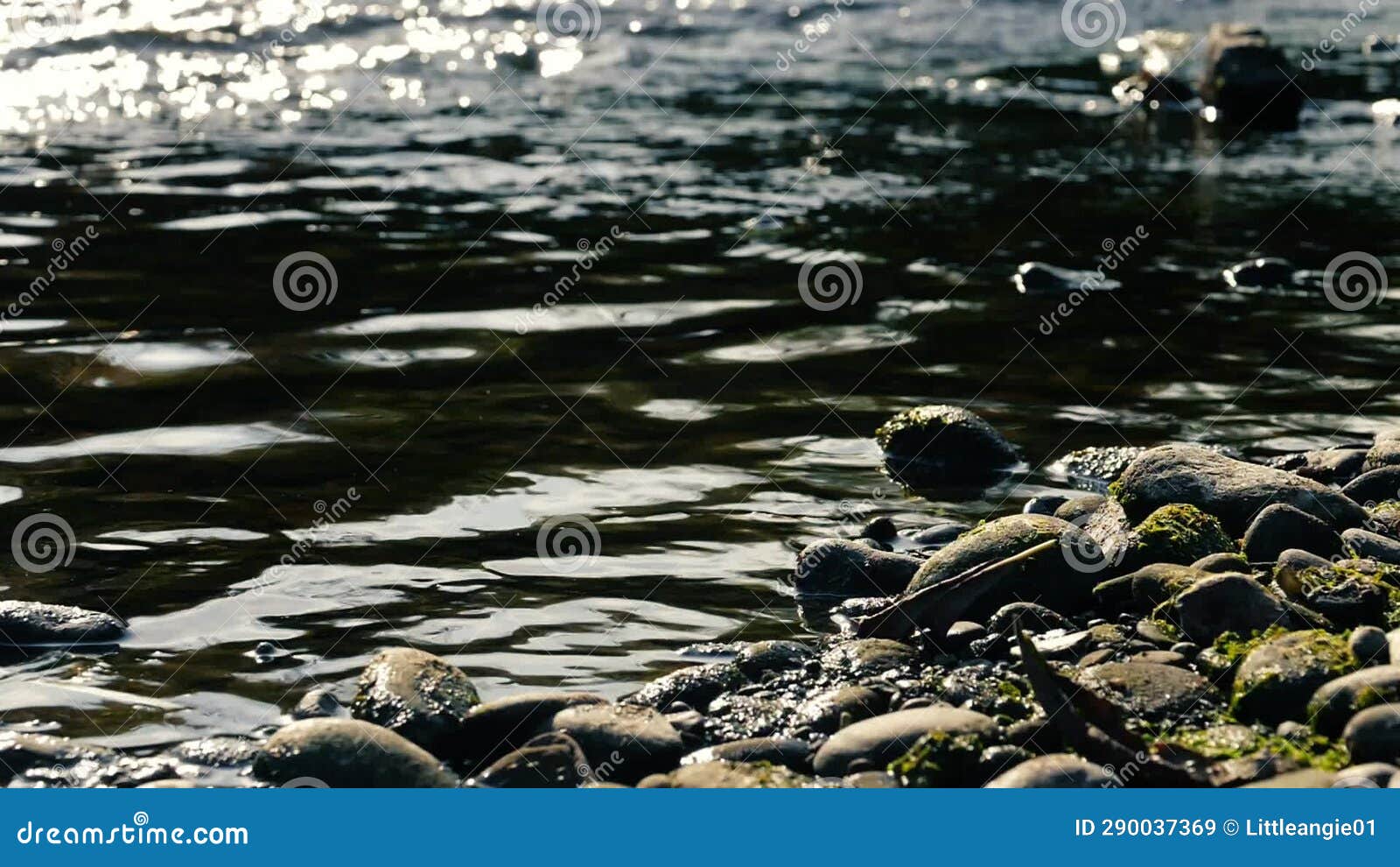 Rocks and Pebbles by River Side Water Stock Video - Video of muddy ...