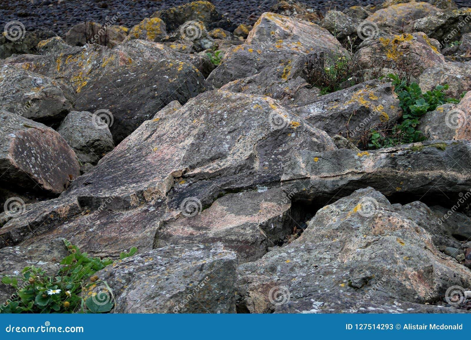 Rocks and Pebbles on a Shingle Coastal Beach Stock Image - Image of ...
