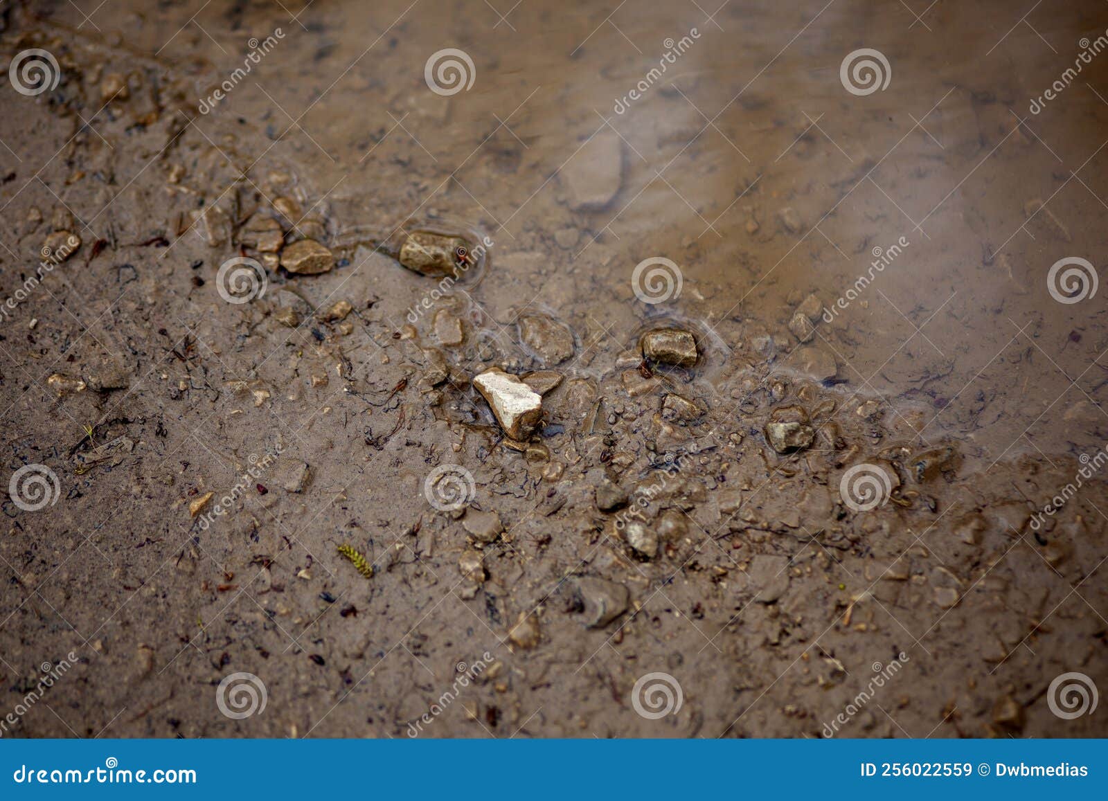 Rocks and Pebbles in the Mud Stock Image - Image of abstract, pebbles ...