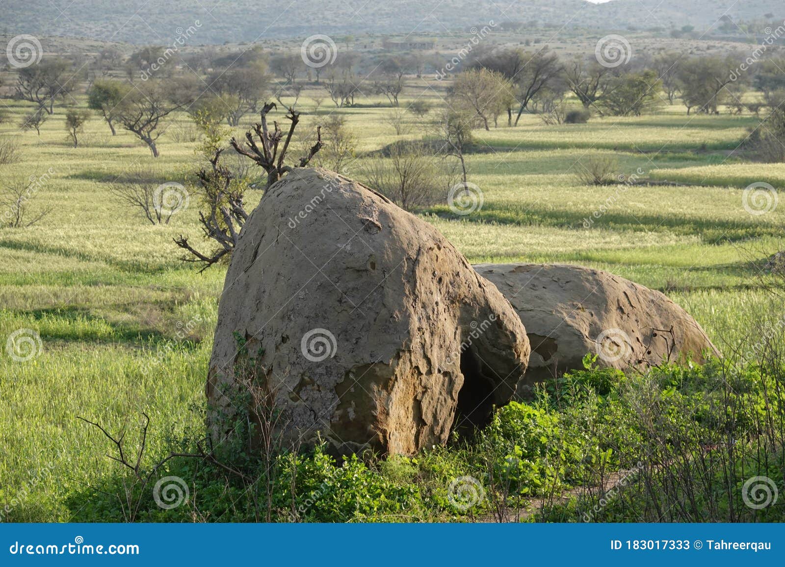 Rocks placed in fields stock image. Image of ruins, rocks - 183017333