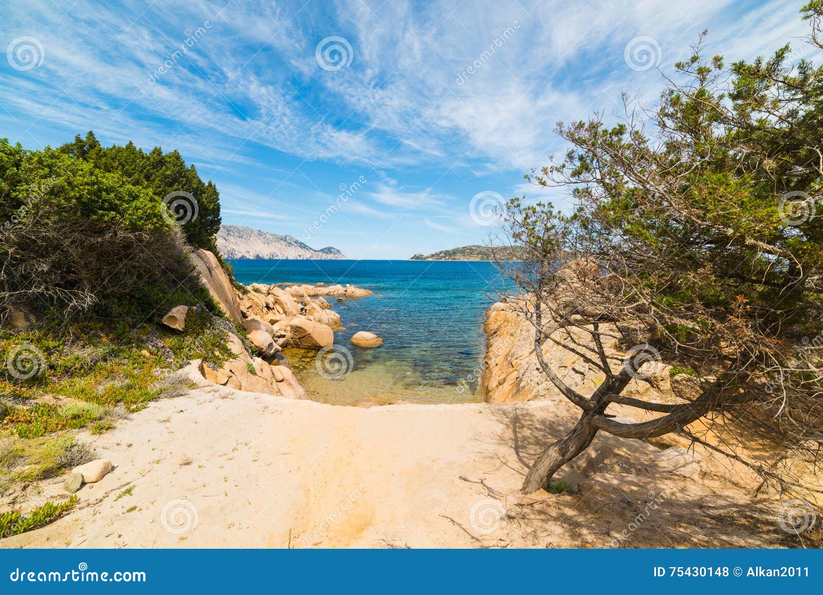 Rocks and Plants in Punta Molara Stock Photo - Image of nature, island ...