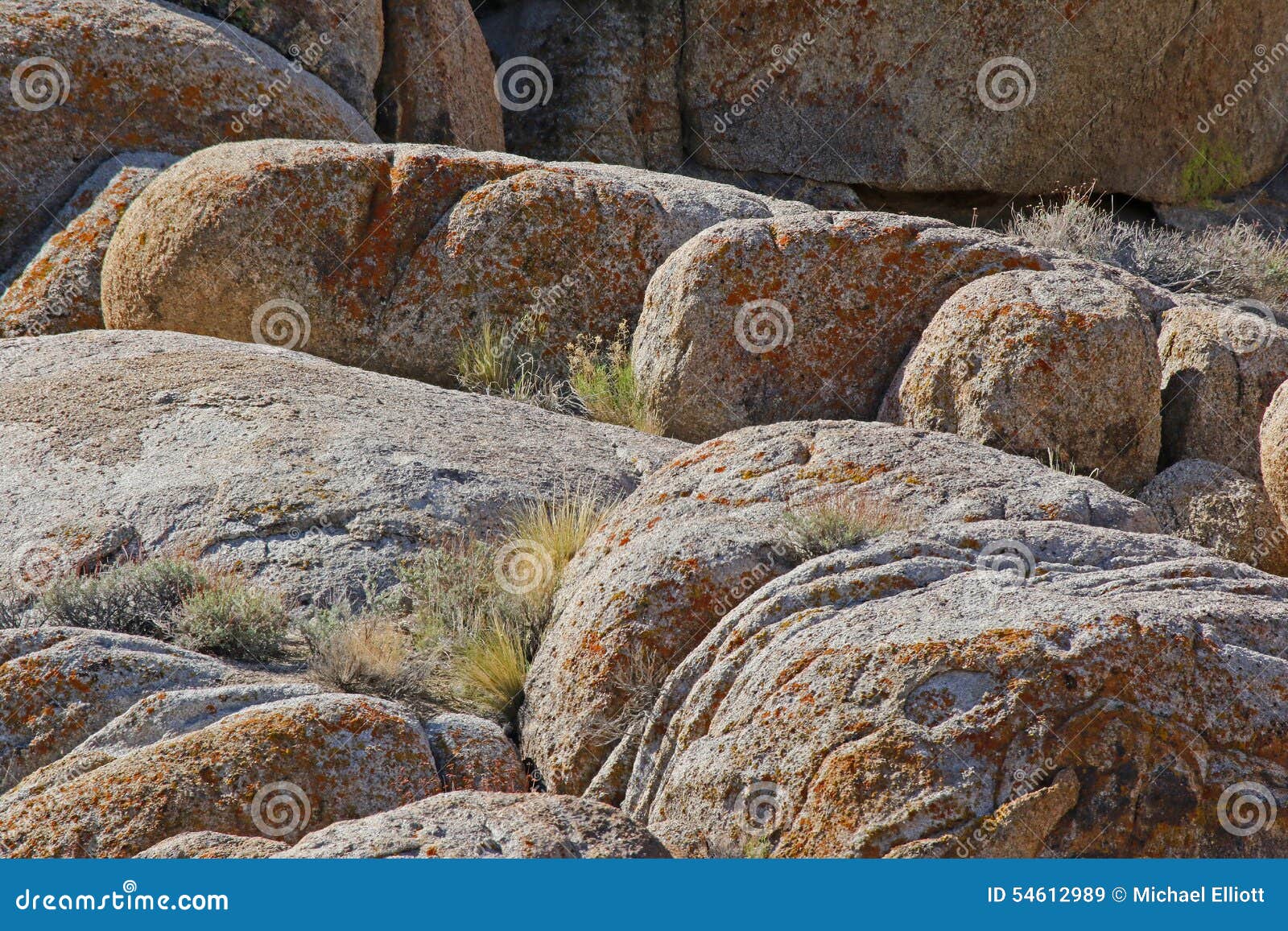 Rocks and Plants stock image. Image of divided, cracks - 54612989