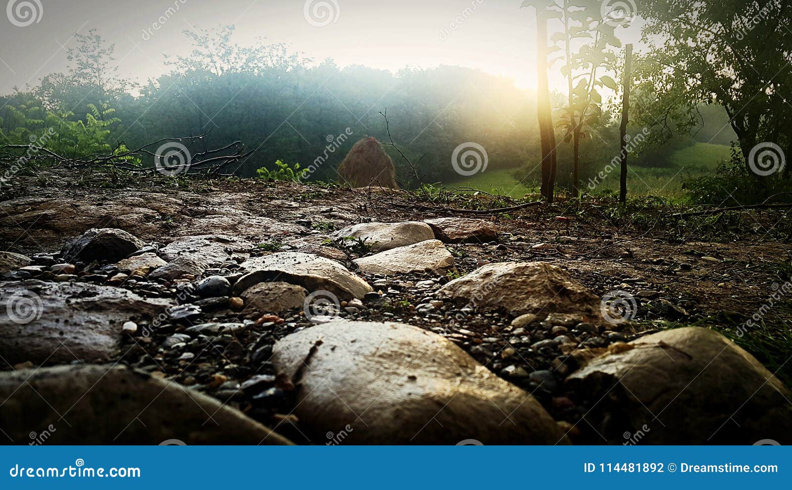 Rocks after the rain stock photo. Image of rain, setting - 114481892
