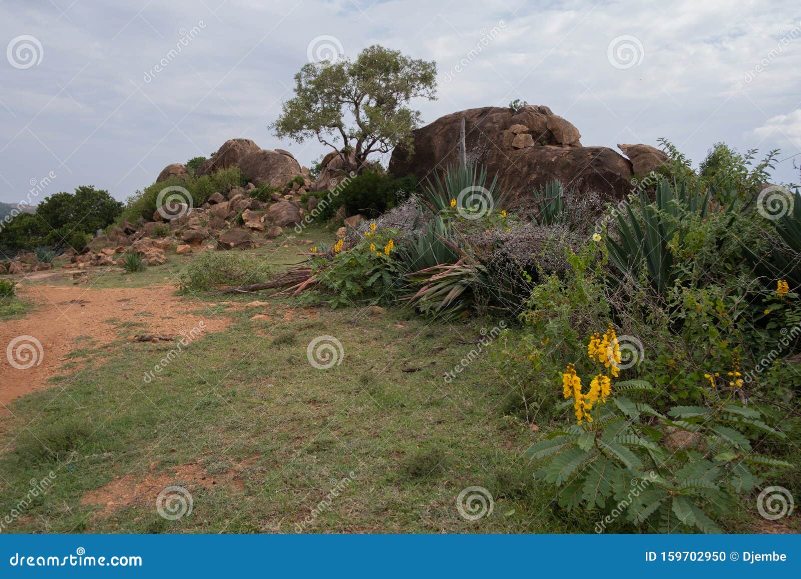 Rocks in the Region of Kenya Stock Photo - Image of nature, meadow ...