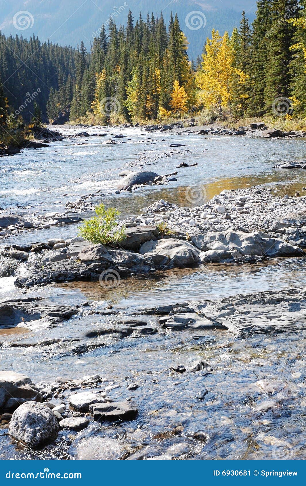 Rocks in river bed stock image. Image of island, coastline - 6930681