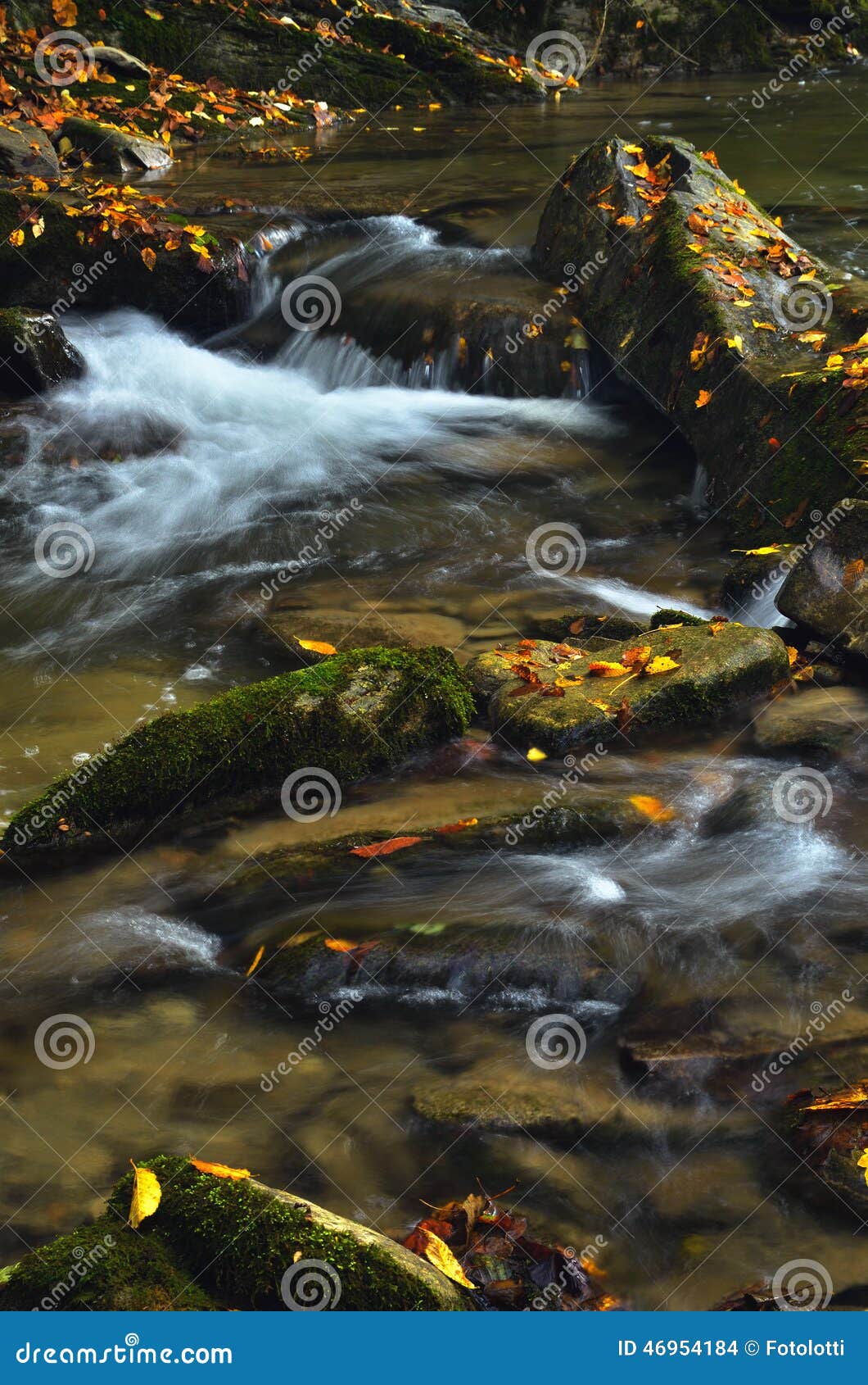Rocks in the river bed stock photo. Image of stream, nature - 46954184