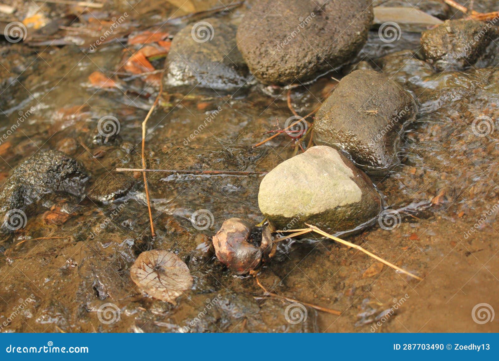 Rocks in the River Behind the House Stock Photo - Image of plant ...