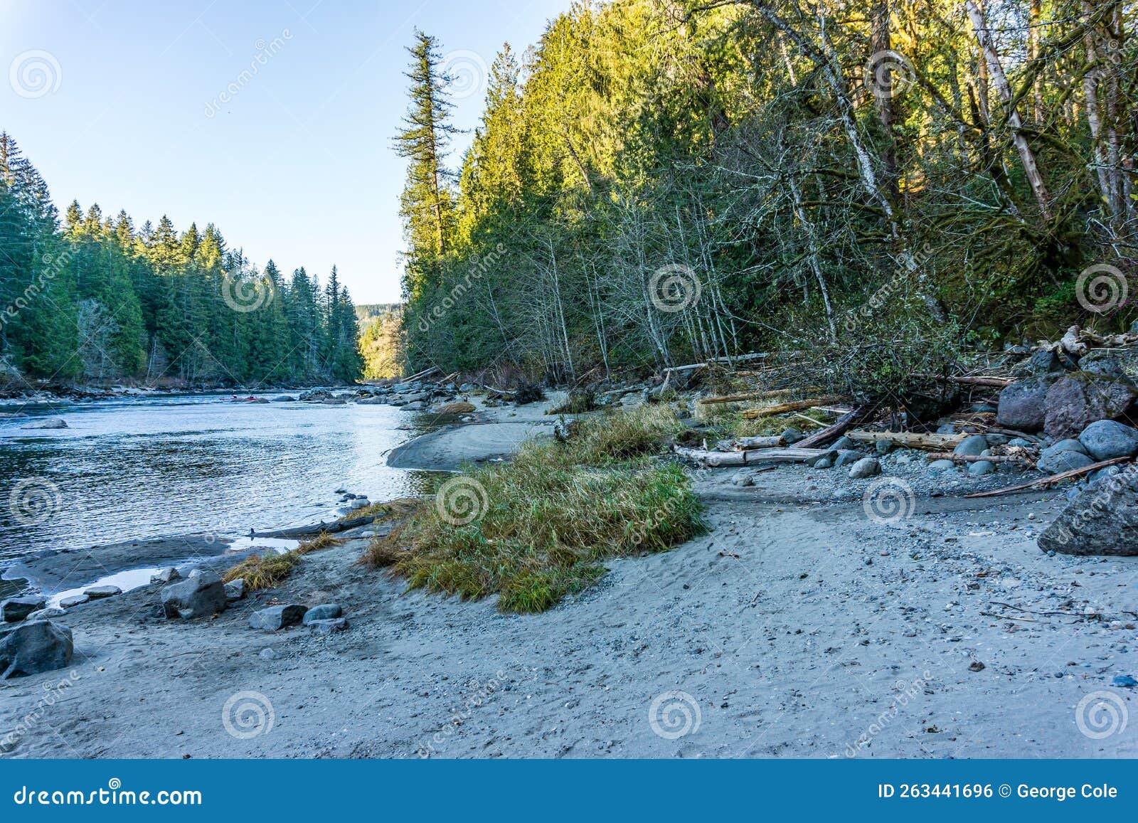 Rocks on River Landscape 13 Stock Photo - Image of washington, trees ...