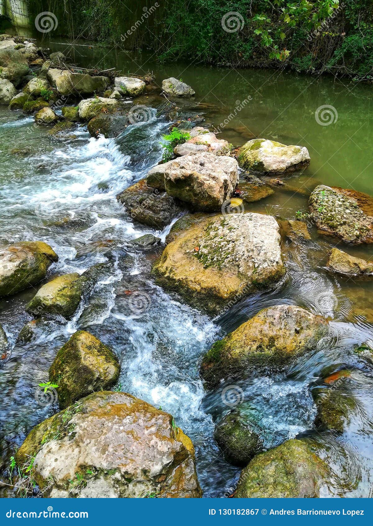 Rocks in the river stock image. Image of rocks, small - 130182867