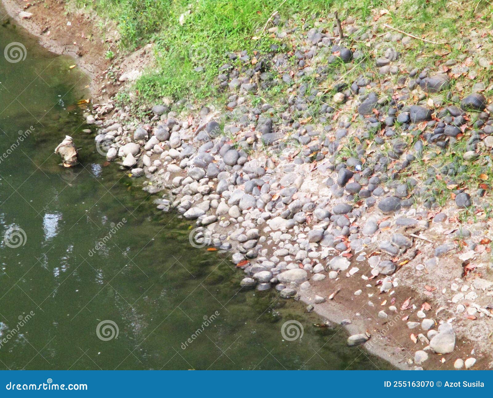 Rocks beside the River Under an Old Bridge Used for Plantations and ...