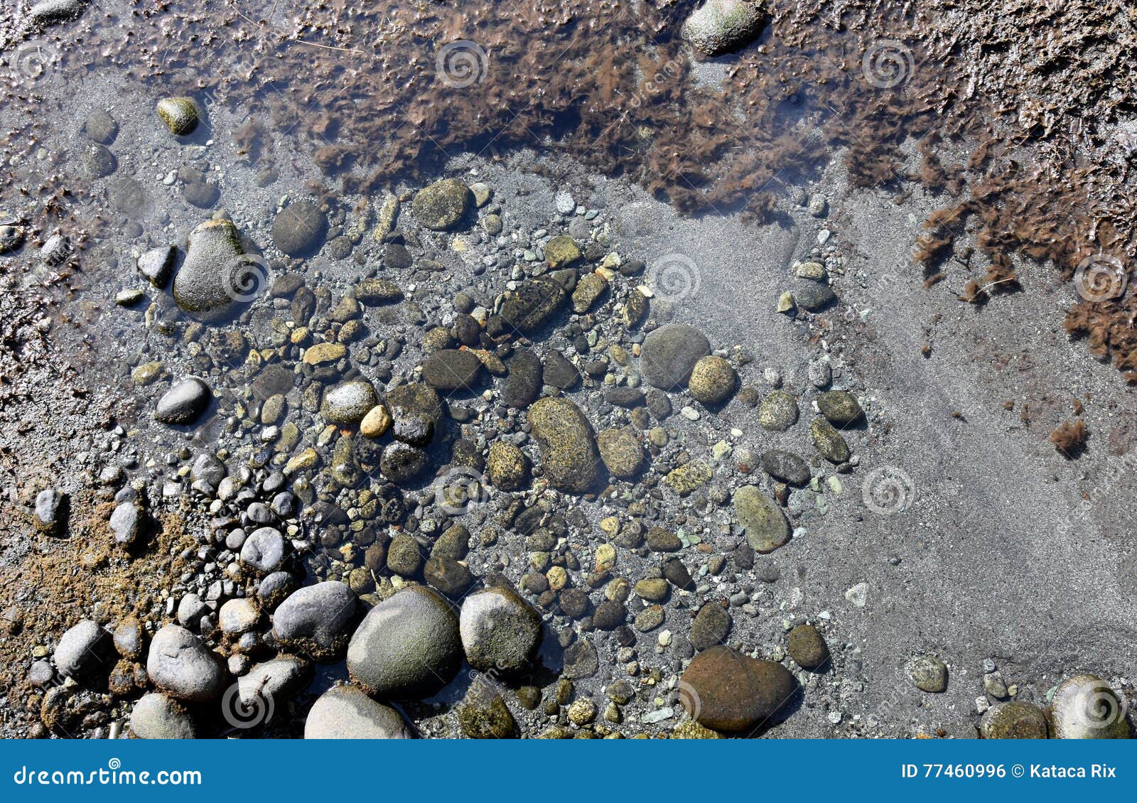 Rocks in River Water Background Stock Photo - Image of outdoor, outside ...