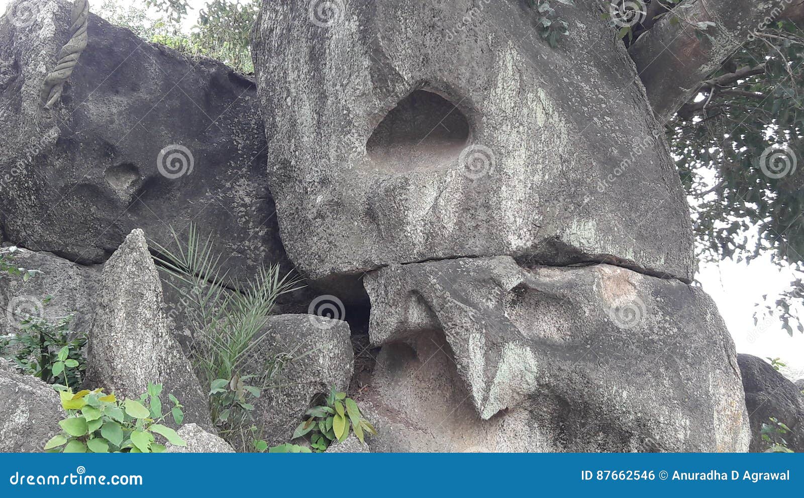 Rocks and Roots Have Been the Highlight Stock Photo - Image of climbed ...
