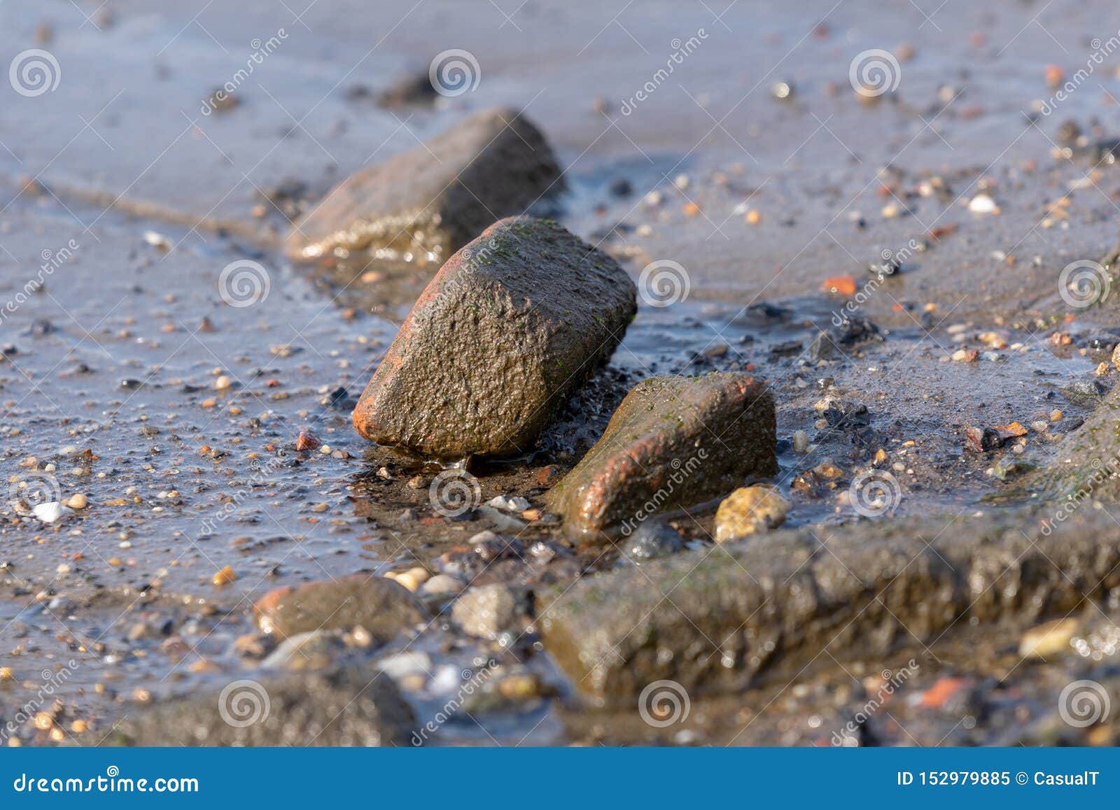 Rocks Scattered Along the Shoreline of a River Stock Image - Image of ...