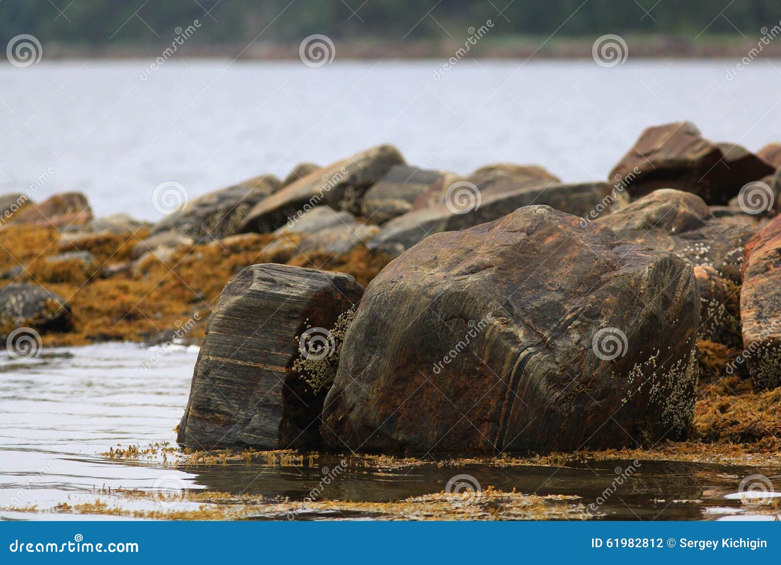 Rocks on sea beach stock photo. Image of beautiful, coastal - 61982812