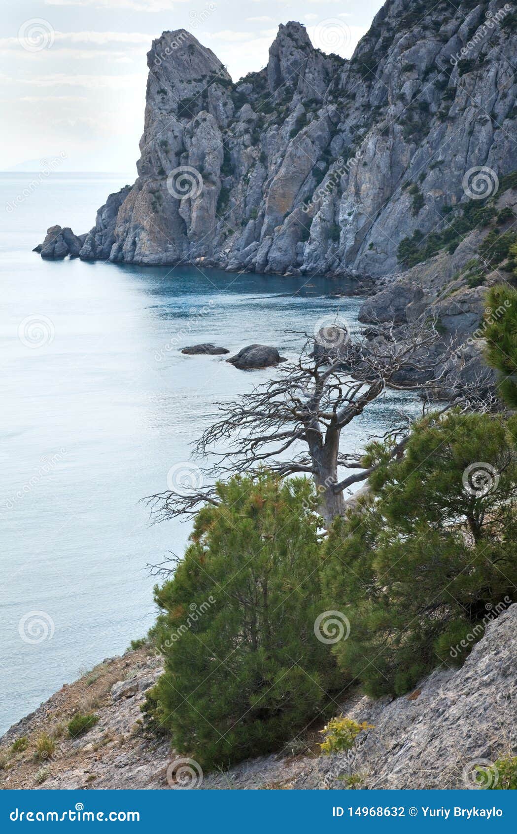 Rocks sea landscape stock photo. Image of evergreen, coniferous - 14968632