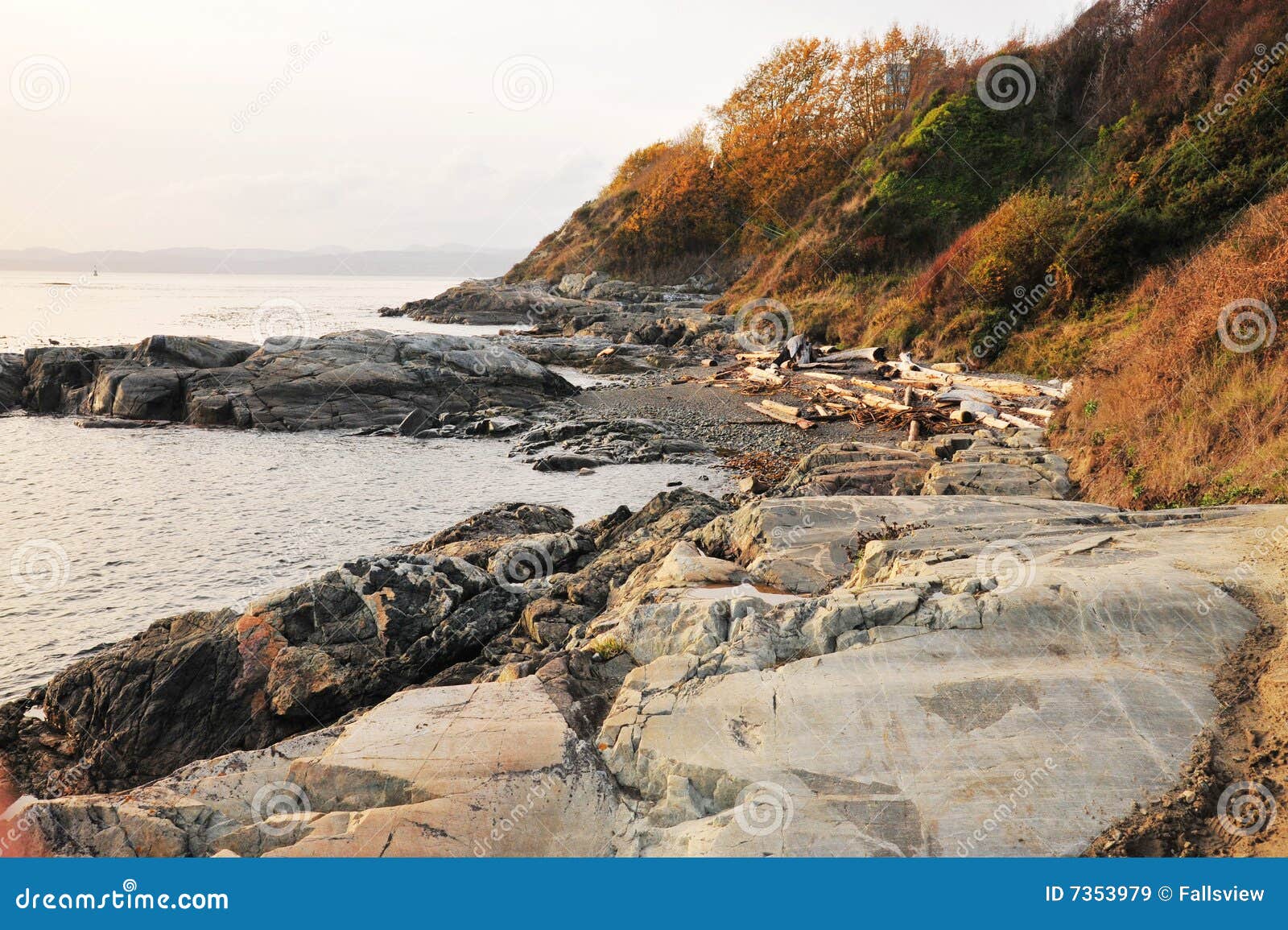 Rocks on sea shore stock image. Image of tranquil, stones - 7353979